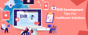 EHR Development: How to create EHR Software?