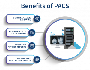 What Is The Difference Between DICOM and PACS?