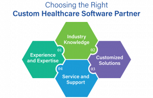 Top 9 Global Healthcare Software Development Companies
